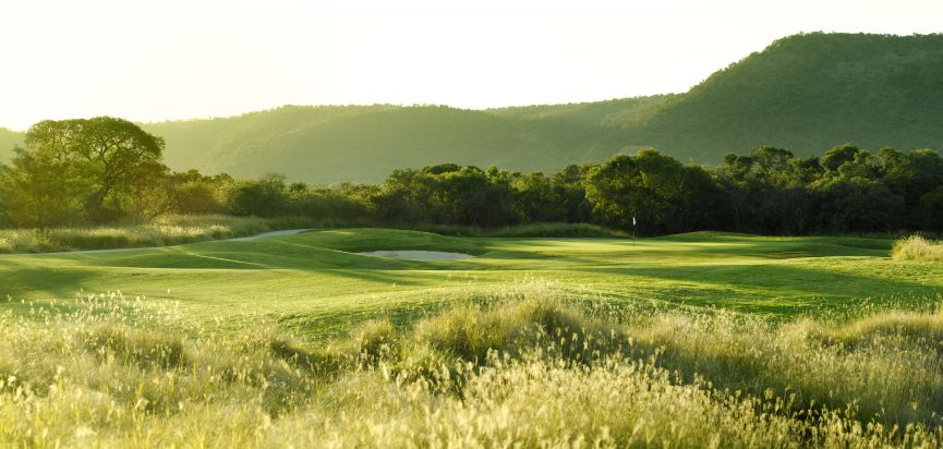 golfteetimes | Home